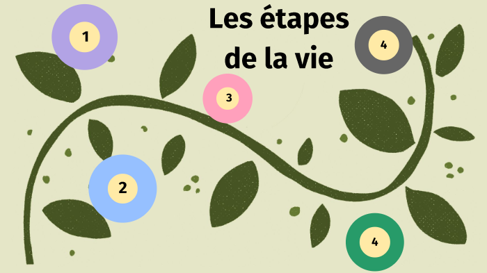 les étapes de la vie by nicolas autret on Prezi