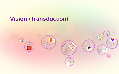 Vision (Transduction) by DaiJohnae Cook on Prezi