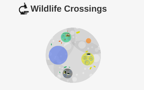 Biology ISU Part 2 by Meagan Presti on Prezi