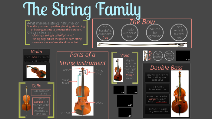 The String Family by Maggie Haggerty on Prezi