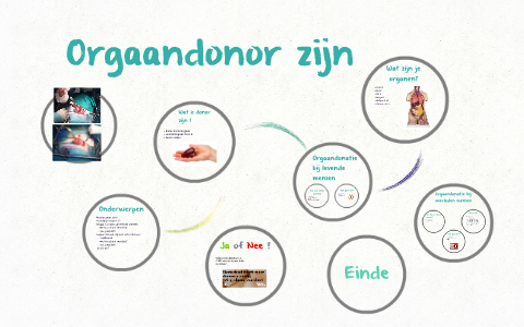 spreekbeurt orgaandonor zijn by Maria Voogd on Prezi