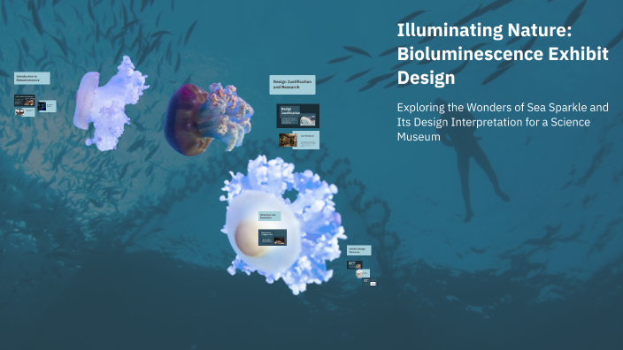 Illuminating Nature: Bioluminescence Exhibit Design by Anne Voorwinden ...