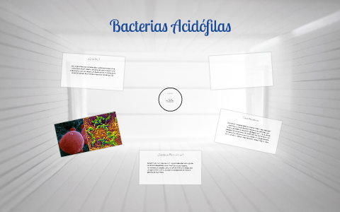 Bacterias Acidófilas by Federico de Castro on Prezi
