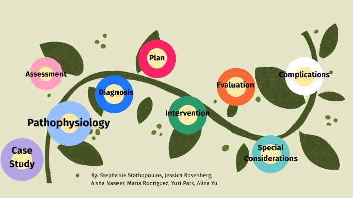 Sunflower Diagram by Stephanie Stathopoulos on Prezi
