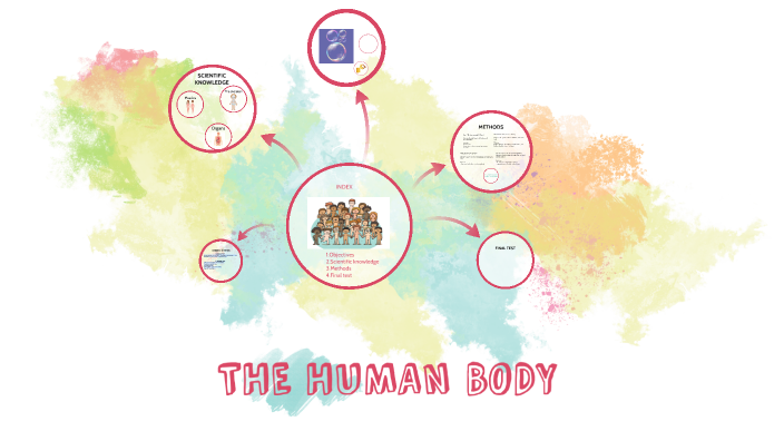 THE HUMAN BODY by Karol Navia on Prezi