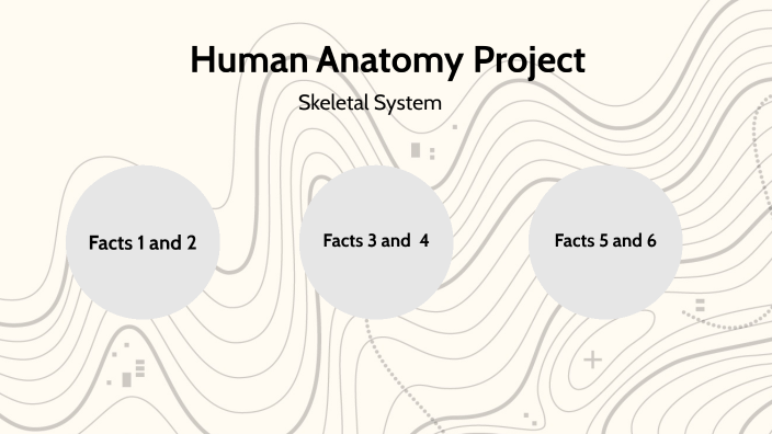 Human Anatomy Project by Breann Molle on Prezi