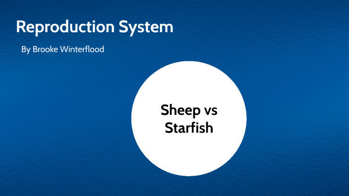 Reproduction System Assignment by Brooke Winterflood on Prezi