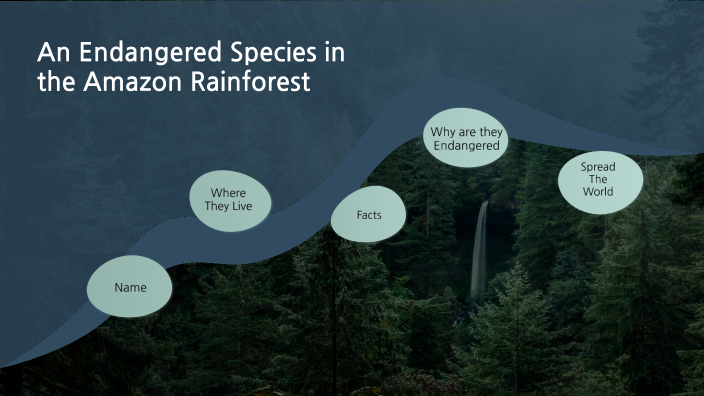 Amazon Endangered Species by Yuliana Bustamante on Prezi