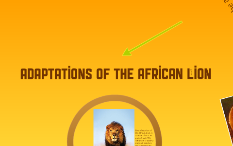 The Adaptations of a Lion by Alec Konrad on Prezi