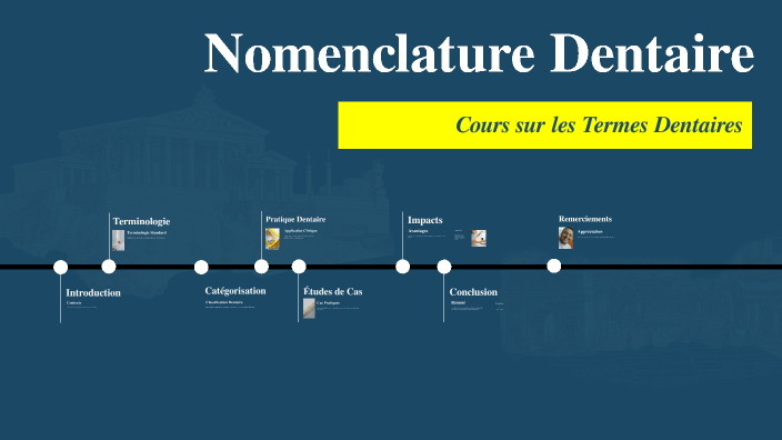 Nomenclature Dentaire by Cedric Negrou on Prezi