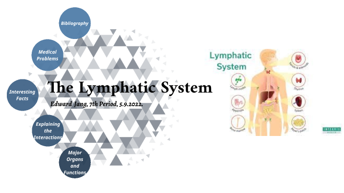 Lymphatic System Prezi Project by SEONGUNG EDWARD JANG on Prezi