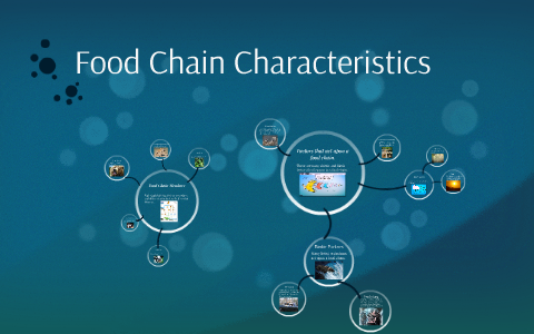 Food Chain Characteristics by Rhett Milner on Prezi