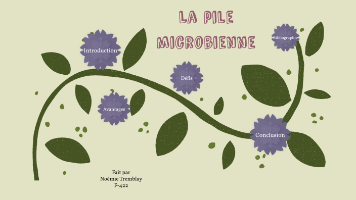 La pile microbienne by Noémie Tremblay on Prezi