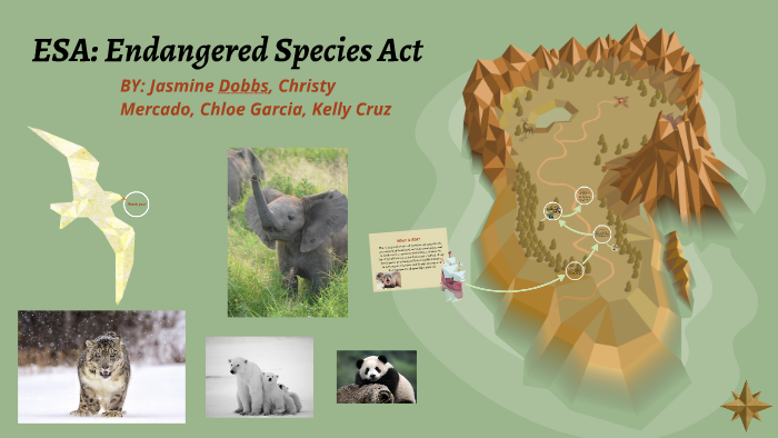 ESA: Endangered Species Act by Jasmine Dobbs on Prezi