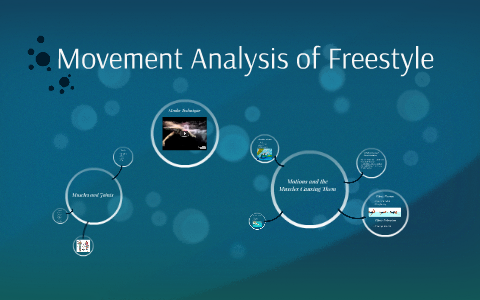 Muscles in Freestyle by Lauren Wills on Prezi