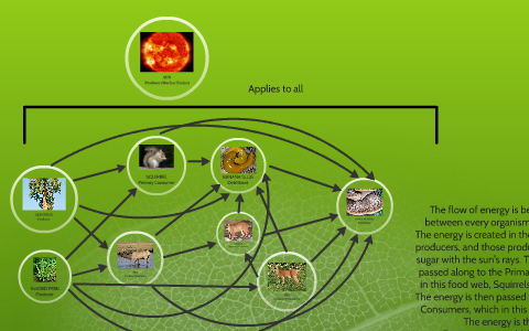 Food Web of the Temeperate Forests of the Pacific Northwest by Gregory ...