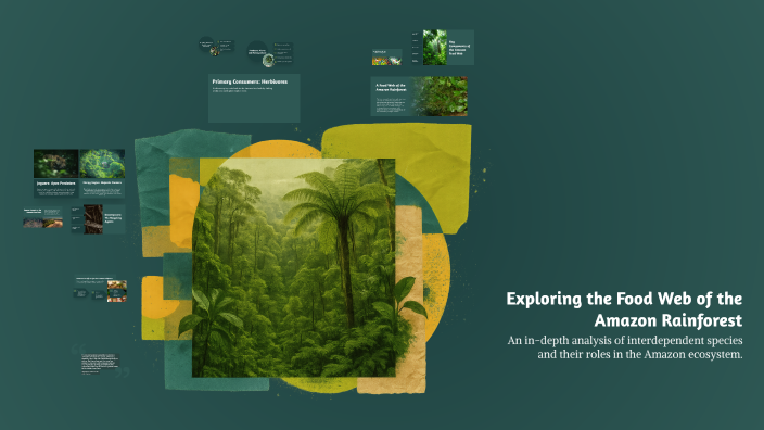 Exploring the Food Web of the Amazon Rainforest by Oscar Maessen on Prezi