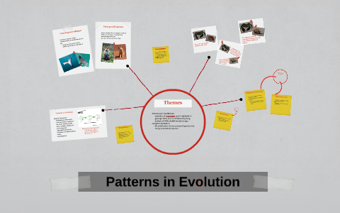 Patterns in Evolution by Cory Karl on Prezi