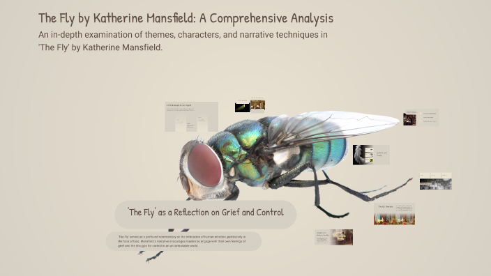 The Fly by Katherine Mansfield: A Comprehensive Analysis by Bookish ...
