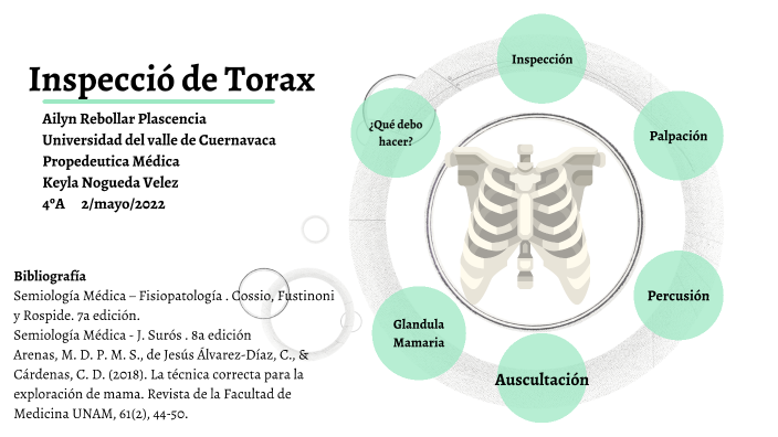 Inspección de Torax by Ailyn Rebollar on Prezi