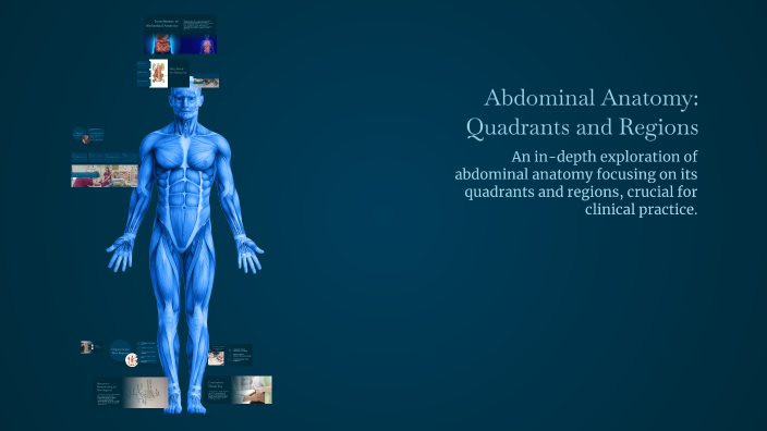 Abdominal Anatomy: Quadrants and Regions by Galal on Prezi
