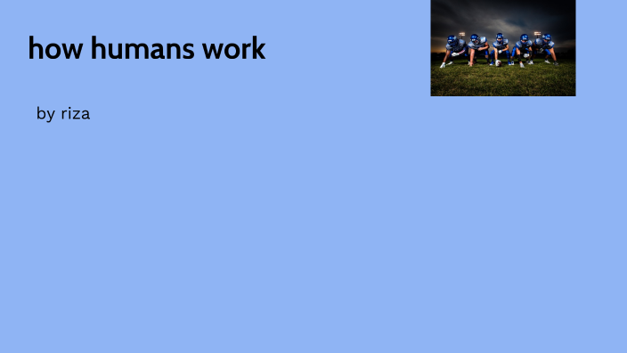 how humans work by Riza Ozdogan on Prezi