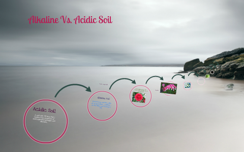 Acidic Vs. Alkaline Soil by gabby r on Prezi