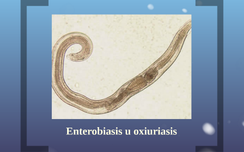Enterobiasis u oxiuriasis by andrea pamela on Prezi
