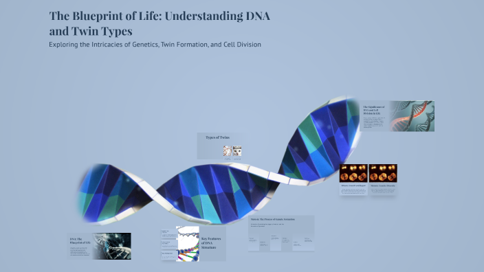 The Blueprint of Life: Understanding DNA and Twin Types by Ronald ...