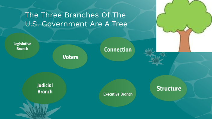 The Three Branches Of The U.S. Government Are A Tree by Avery Hintz on ...