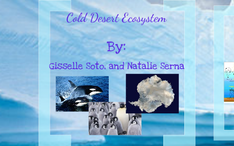 Desert Ecosystem by Natalie Serna on Prezi