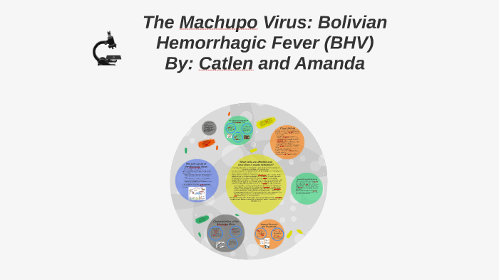 The Machupo Virus: Bolivian Hemorrhagic Fever (BHV) by Catlen Goss on Prezi