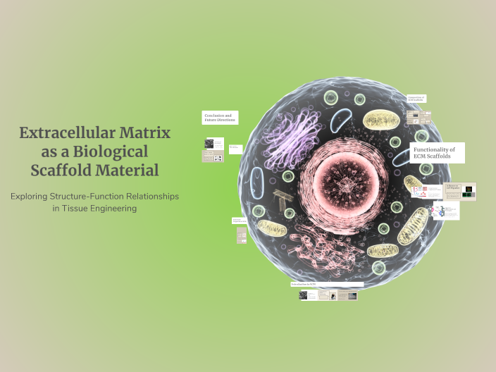 Extracellular Matrix as a Biological Scaffold Material by Araz Karimi on Prezi