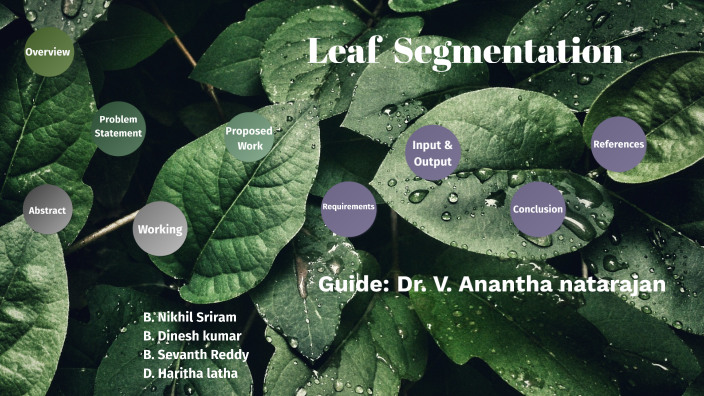 leaf_segmentation by Nikhil B on Prezi