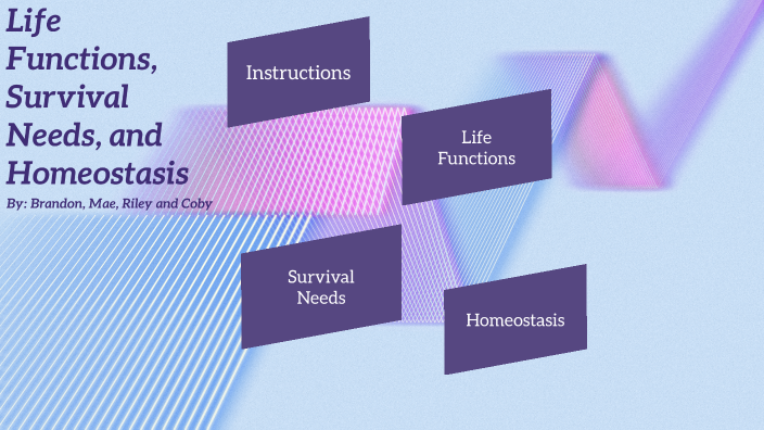 Life Functions, Survival Needs and Homeostasis by Brandon Soto on Prezi