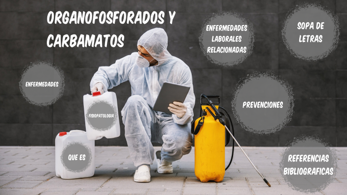 organofosforados y carbamatos by Sergio Alvarez on Prezi