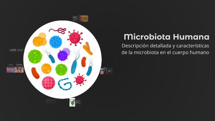 Microbiota Humana by hector gael molina fausto on Prezi