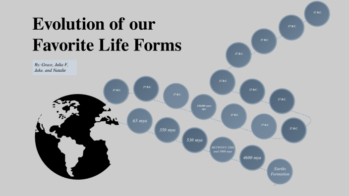 Bio Evolution of Animals Timeline by Grace Dietrich on Prezi