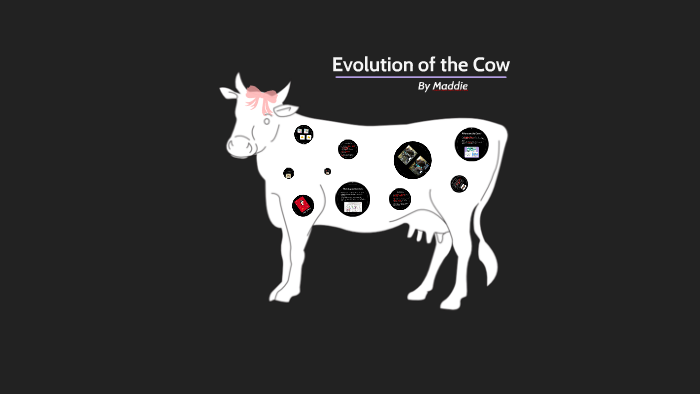 Evolution of the Cow by Maddie Felix