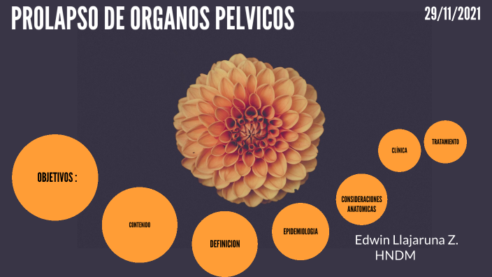 PROLAPSO DE ORGANOS PELVICOS by EDWIN LUIS LLAJARUNA ZUMAETA on Prezi