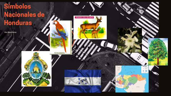 Símbolos Nacionales de Honduras by silex flores on Prezi