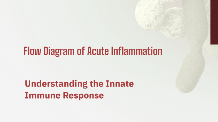 Flow Diagram of Acute Inflammation by Halimah Ayomide on Prezi
