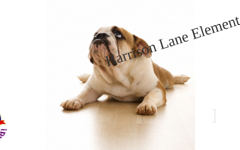 Harrison Lane Elementary School by anita rodriguez on Prezi