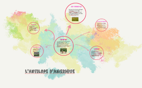 L'aparance by Mahnia Jacobs on Prezi
