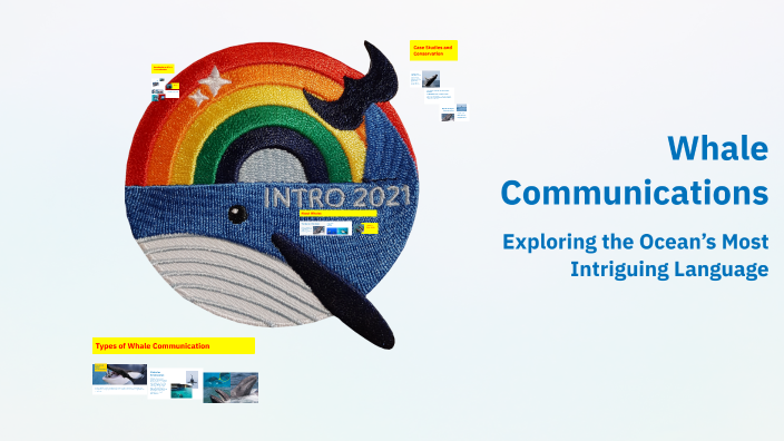 Whale Communications by easton owens on Prezi
