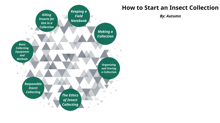 Mind Map Entomology by autumn pulver on Prezi