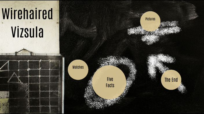 Dog Breed Selector- Lab by Paige Loos-hines on Prezi