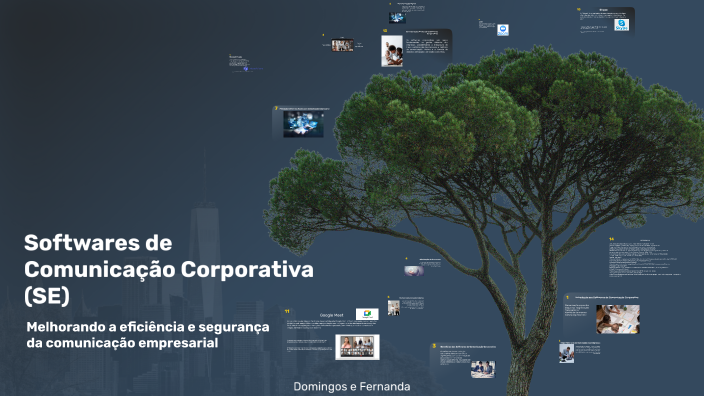 Importância dos Softwares de Comunicação Corporativa by Domingos Miguel ...
