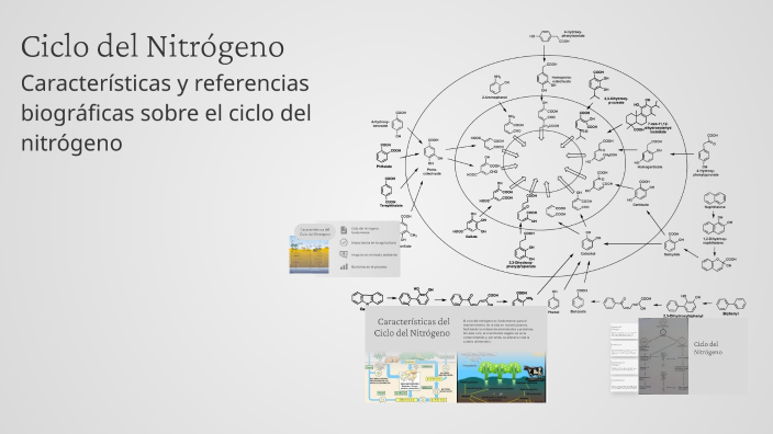 Ciclo del Nitrógeno by Manuel Sanson on Prezi