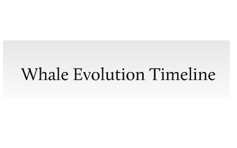 Whale evolution Timeline by Andrew Dunn on Prezi